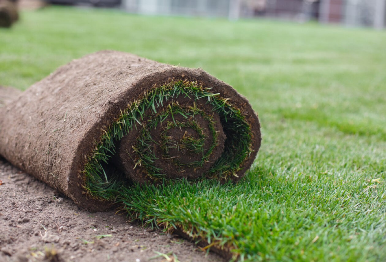 Landscape Maintenance - Riverstone Landscaping